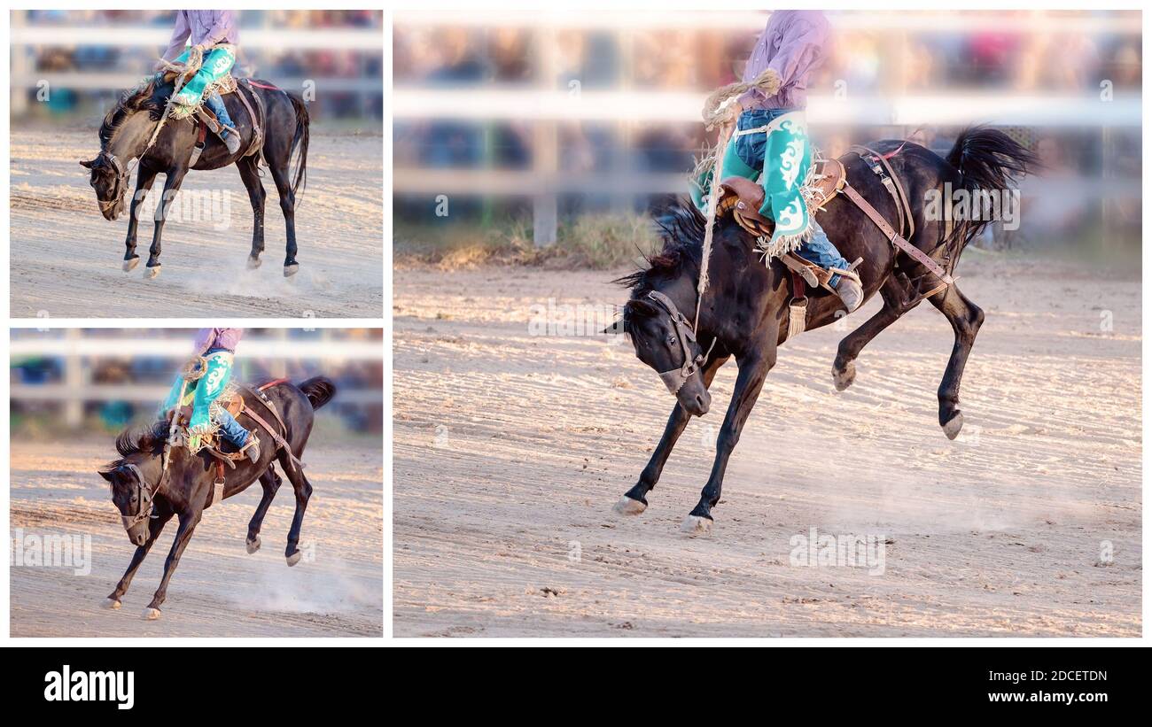 Collage of images of bucking broncos riding competition at a country ...