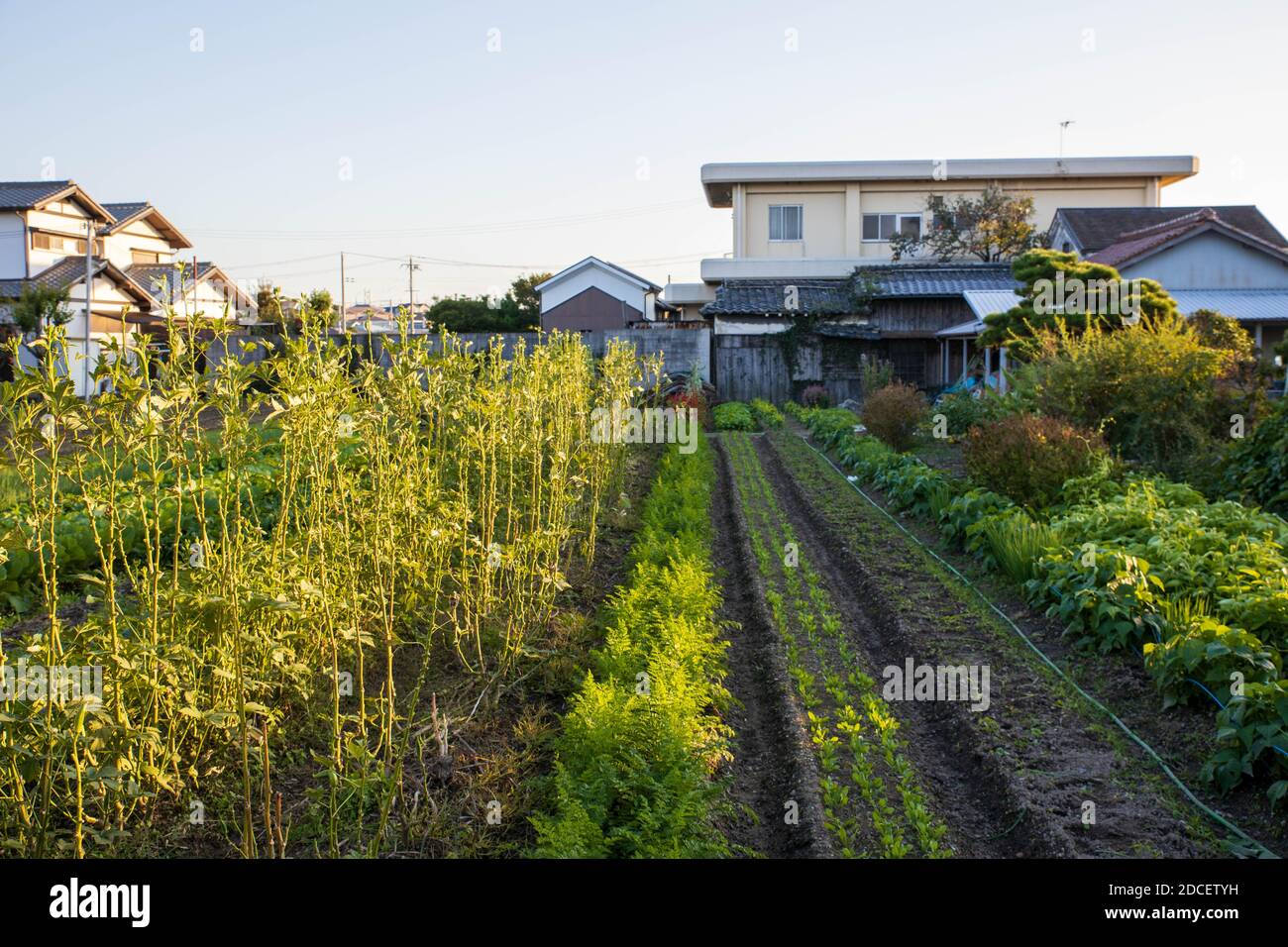 Sun hit building hi-res stock photography and images - Alamy