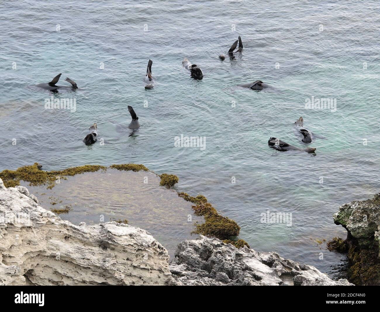 Rottnest island cathedral rocks hi-res stock photography and images - Alamy