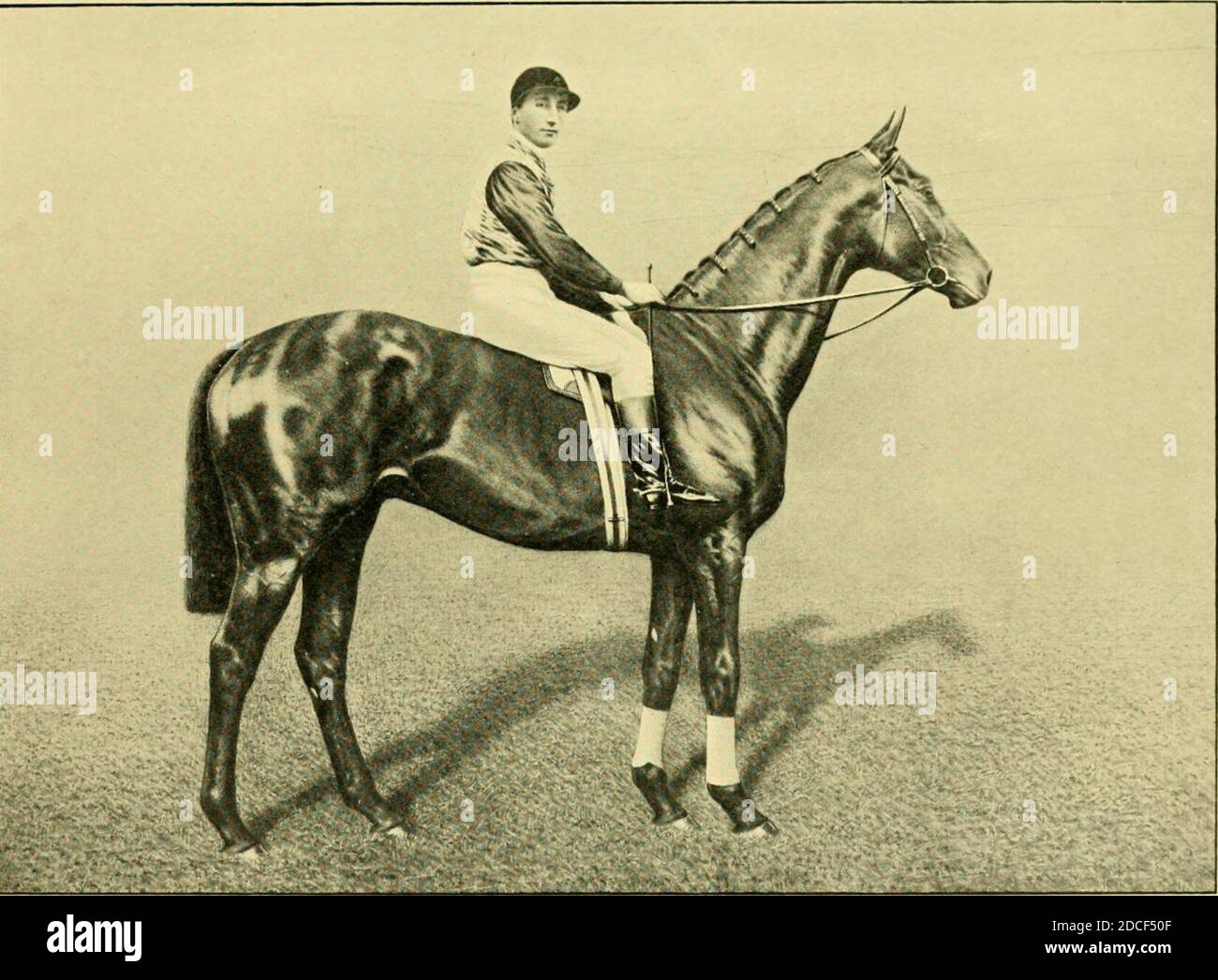 Our sportsman king hi-res stock photography and images - Alamy