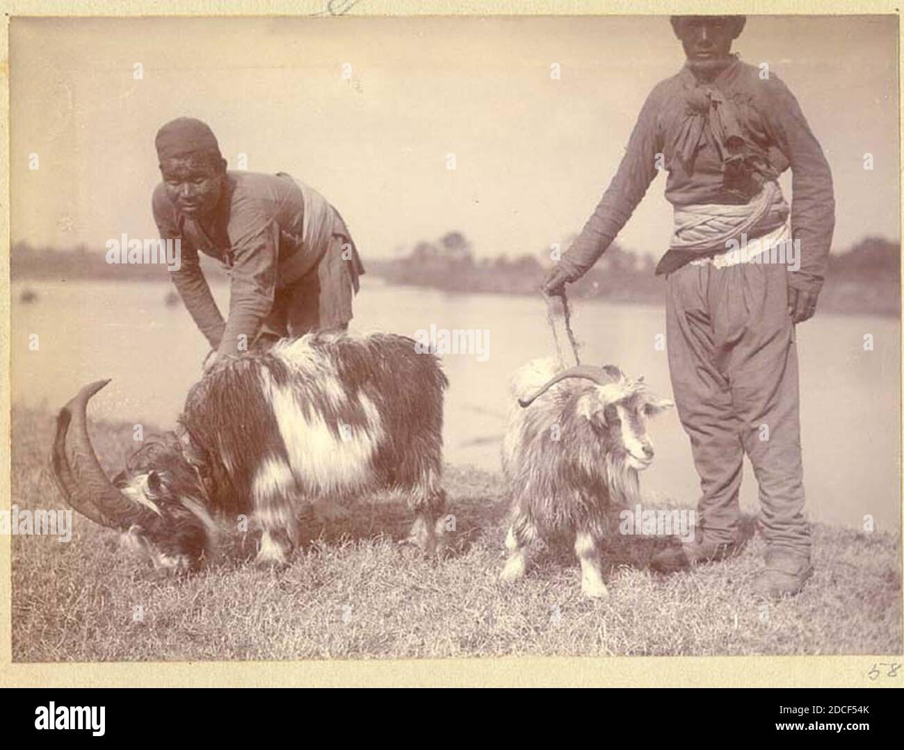 King George V Hunting in Nepal (22 Stock Photo - Alamy