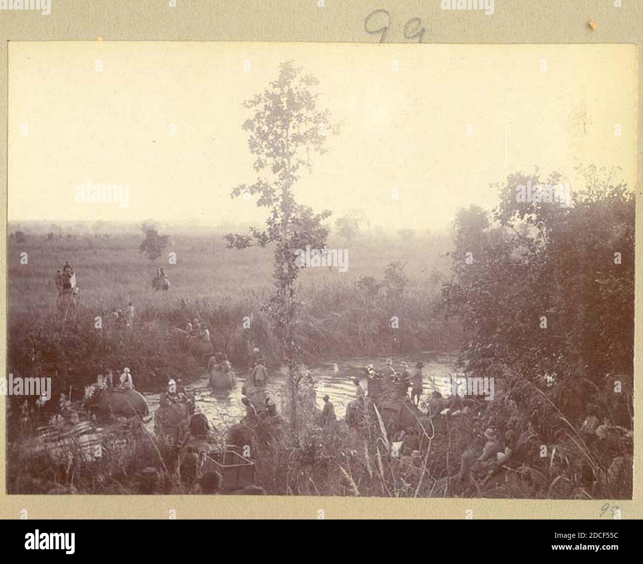 King George V Hunting in Nepal (17 Stock Photo - Alamy