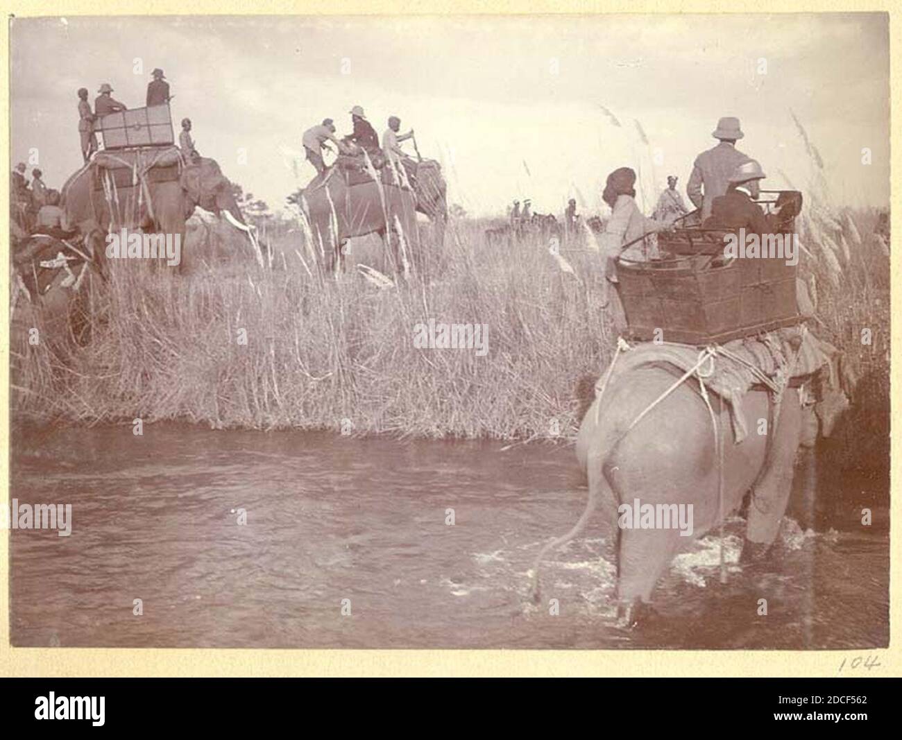 King George V Hunting in Nepal (39 Stock Photo - Alamy