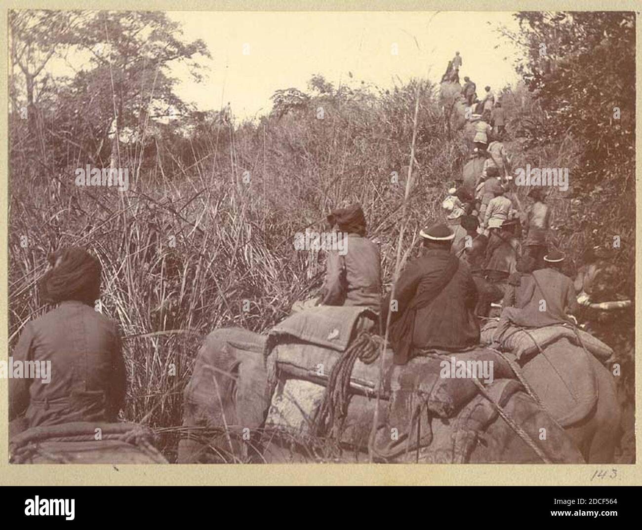 King George V Hunting in Nepal (13 Stock Photo - Alamy