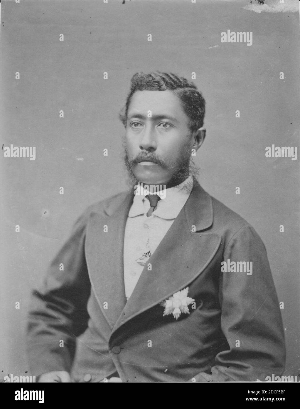 Lunalilo hi-res stock photography and images - Alamy