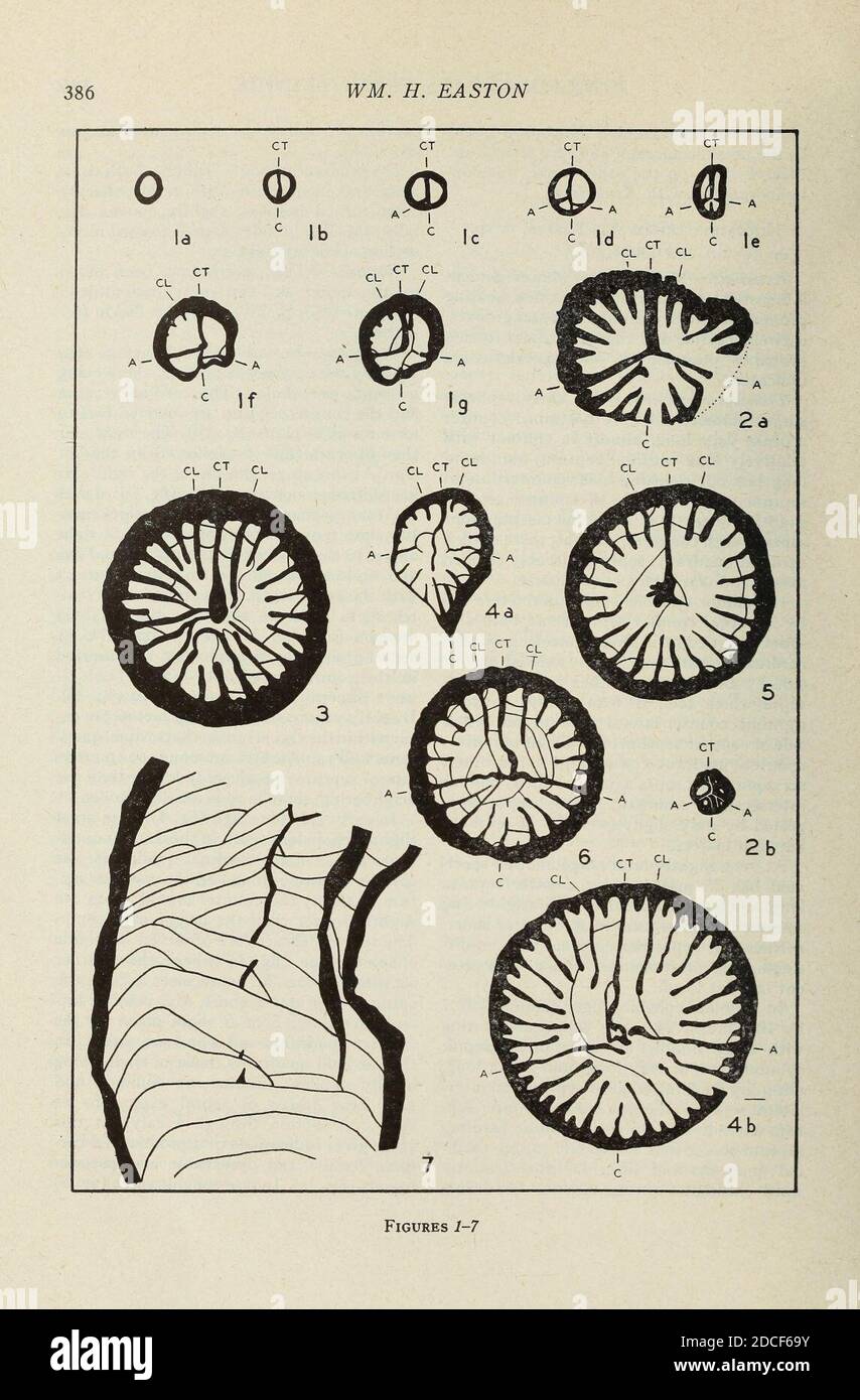 Kinkaid historical hi-res stock photography and images - Alamy