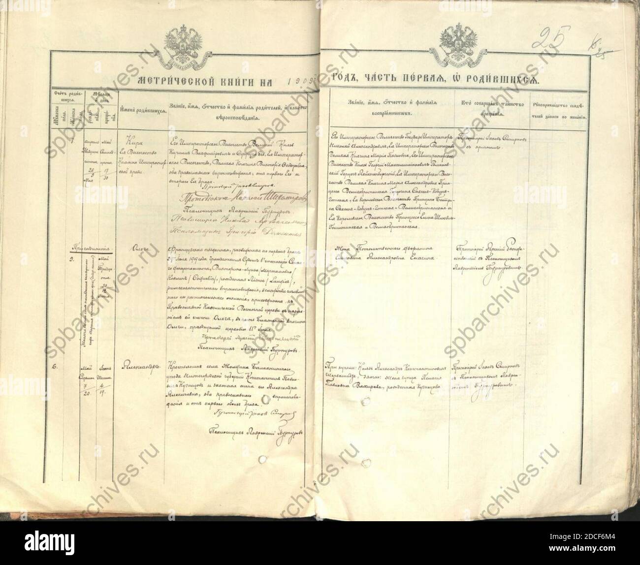 Kira tree hi-res stock photography and images - Alamy