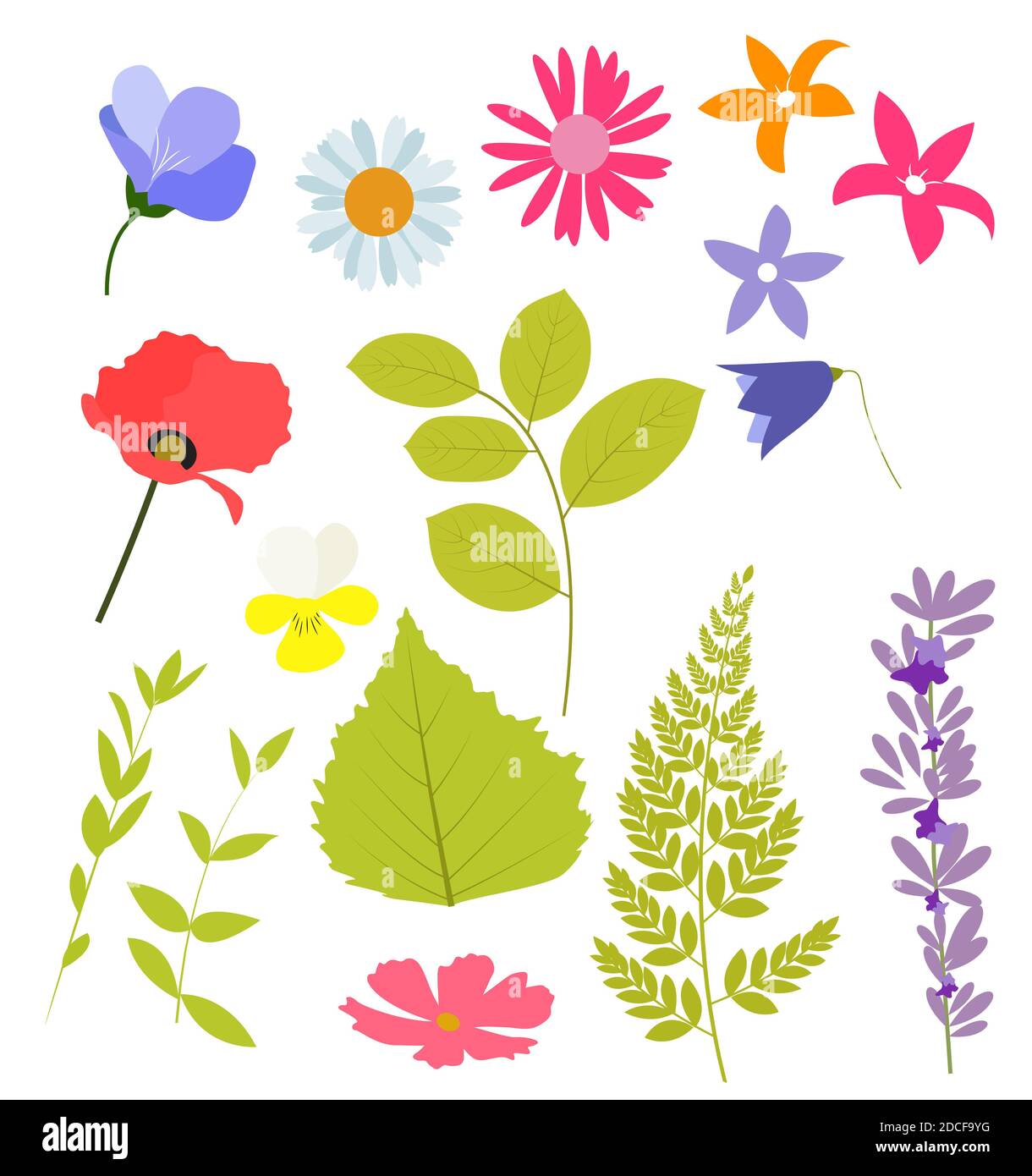 Abstract Natural Spring Elements from Flowers and Leaves. Illustration ...