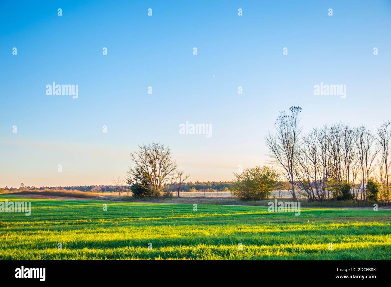 Georgia farm land in the south during the Fall Stock Photo - Alamy