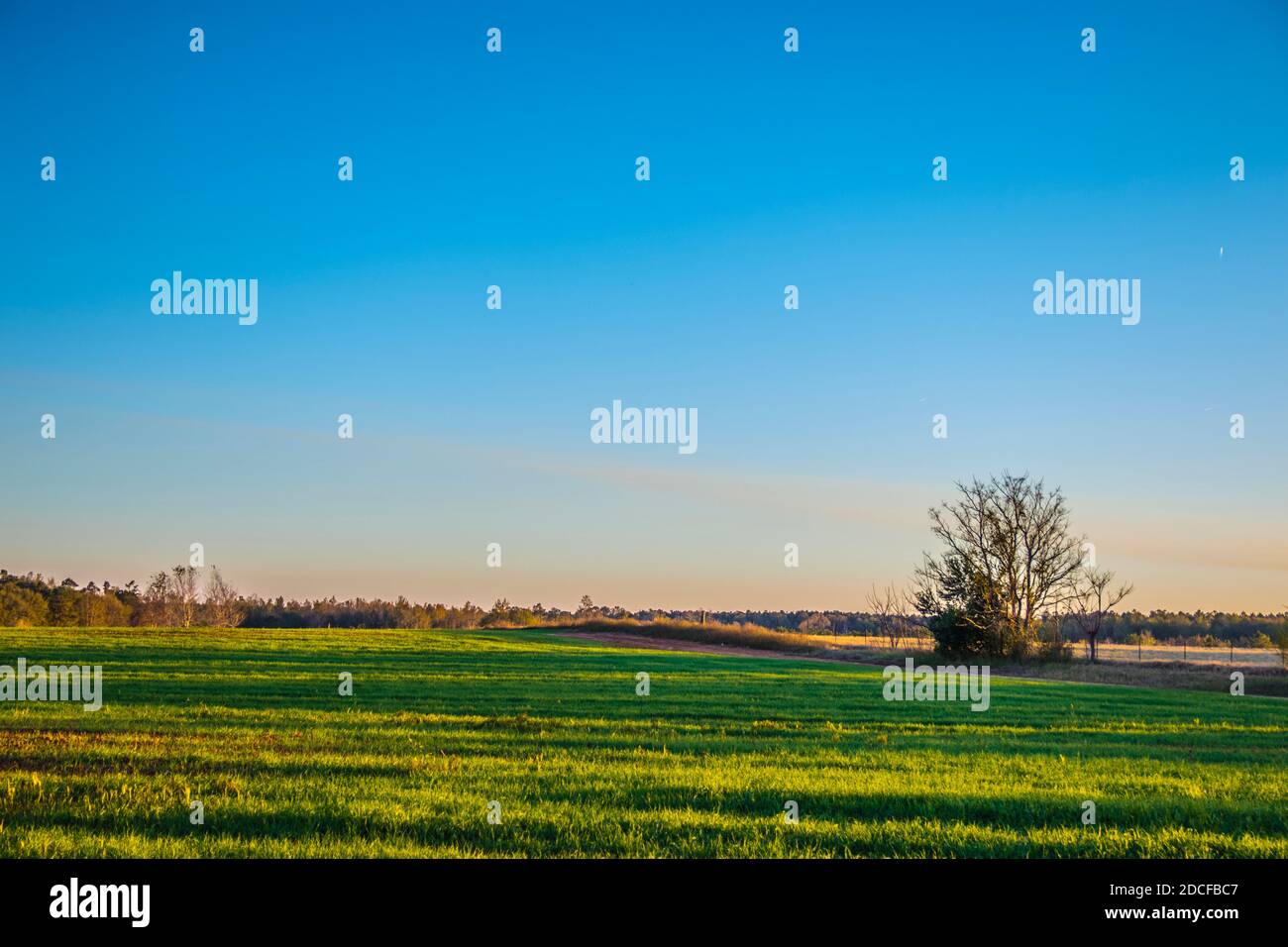 A green field and farm land in the country in Georgia Stock Photo - Alamy
