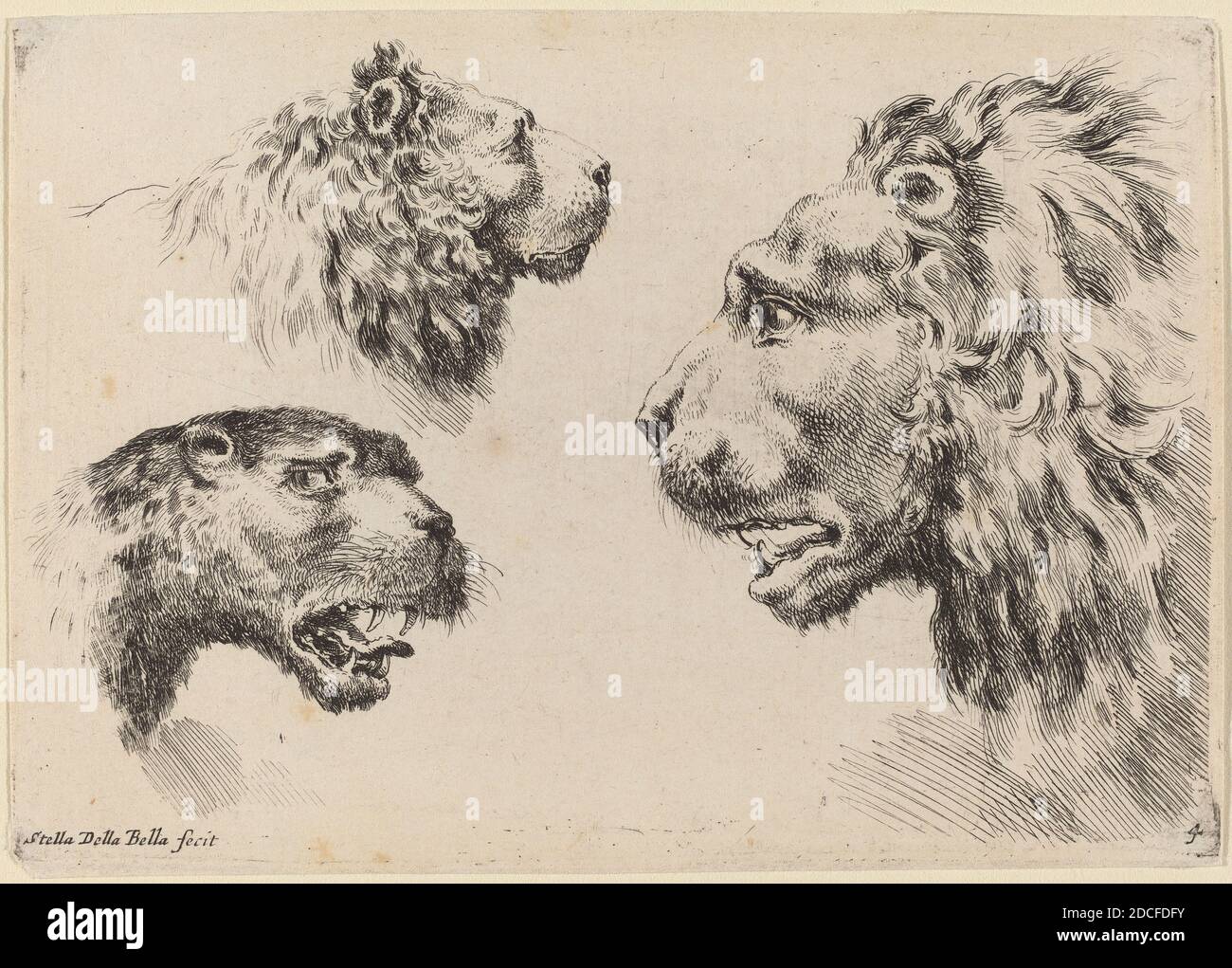 Stefano Della Bella, (artist), Florentine, 1610 - 1664, Three Lion ...