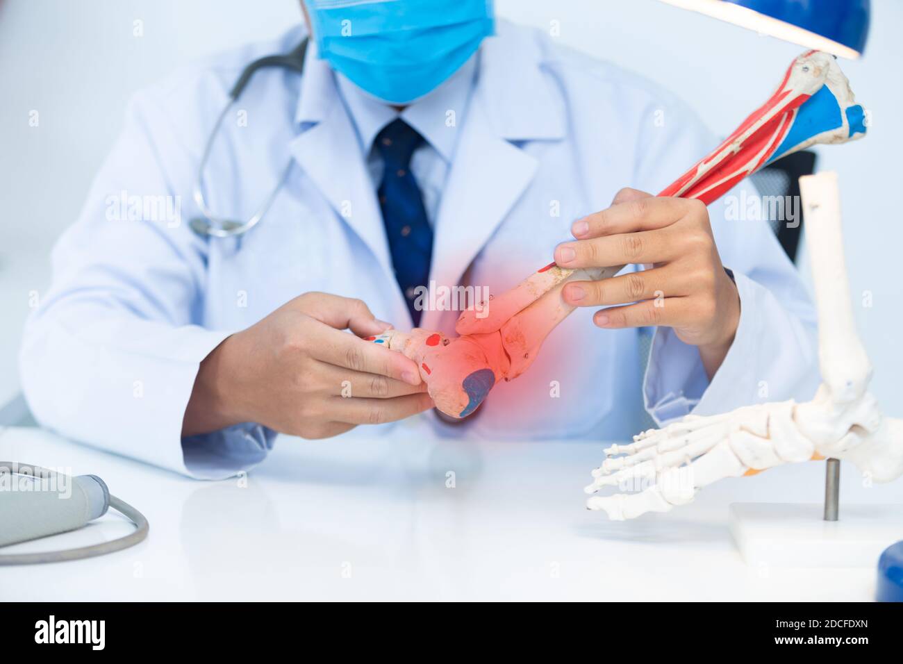 close-up doctor holds artificial boneof the foot in clinic Stock Photo ...