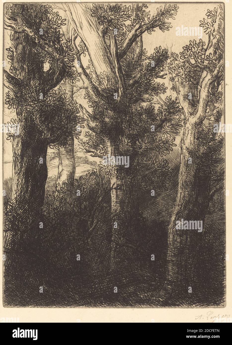 Alphonse Legros, (artist), French, 1837 - 1911, German Forest, Downley ...
