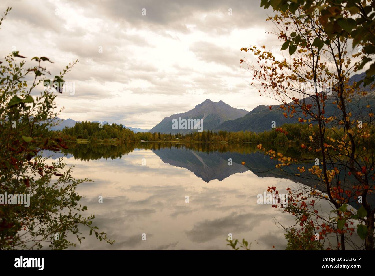 View Through the Trees of the Lake Reflecting the Mountain Stock Photo ...