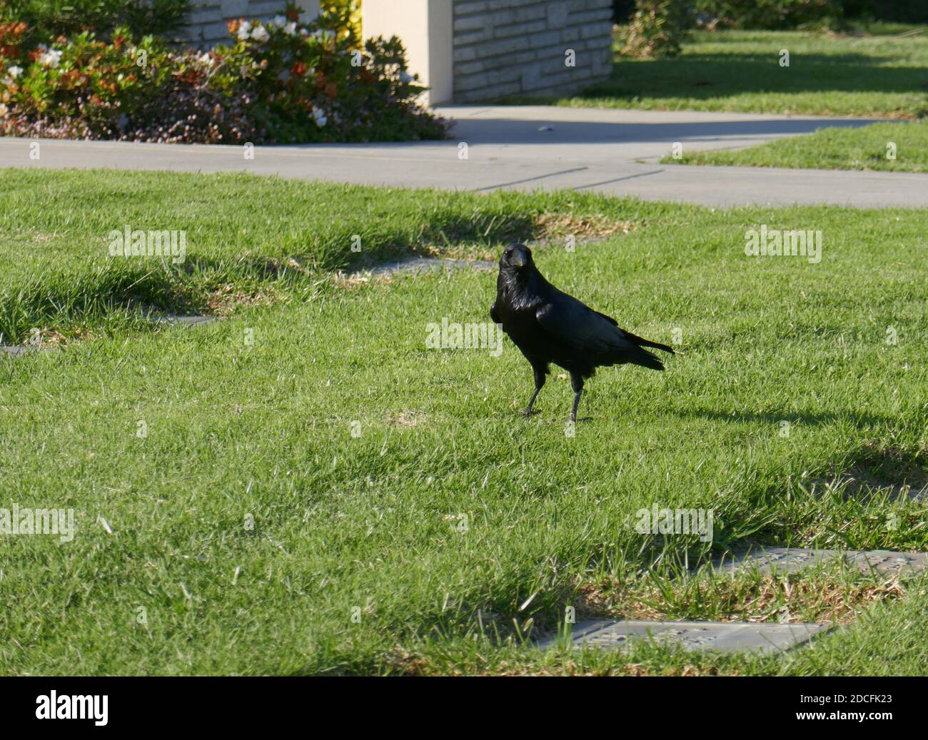 Los Angeles, California, USA 19th November 2020 A general view of ...