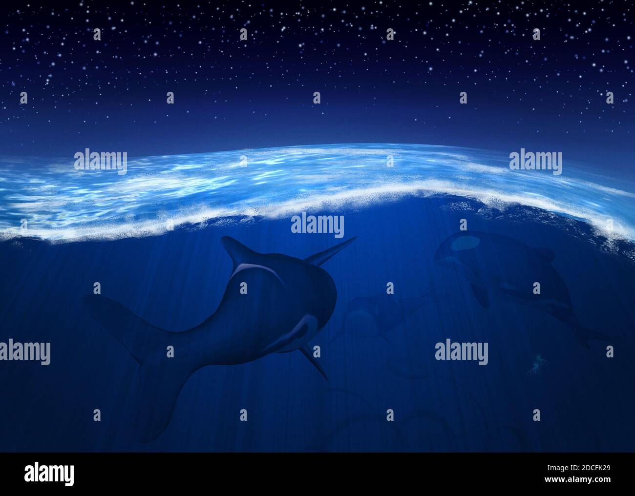 Dark blue underwater scene with 3d rendered orca, killer whale. 3d ...