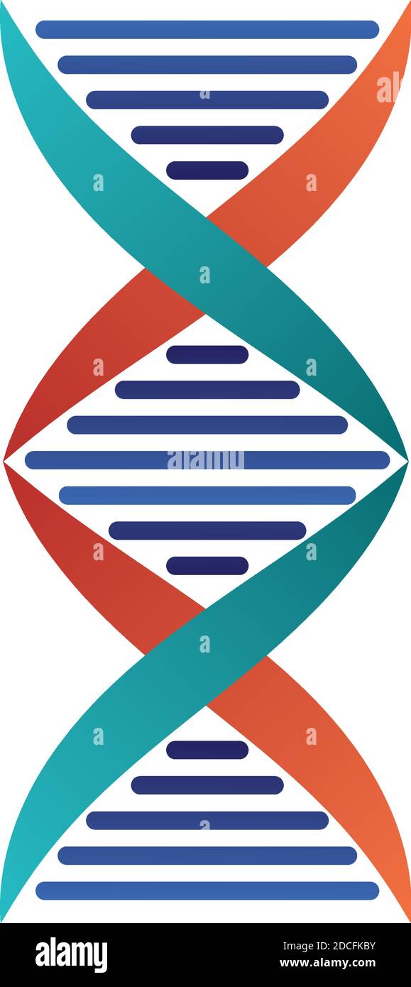 dna molecule structure isolated icon vector illustration design Stock ...