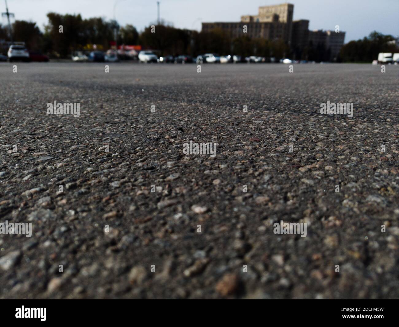 The texture of the asphalt, the small depth of field. Low Shot of ...