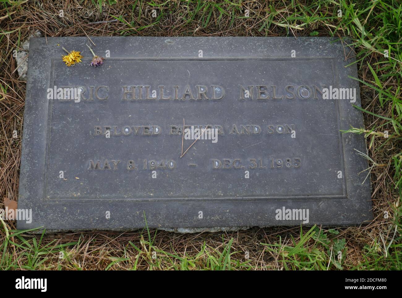 Los Angeles, California, USA 19th November 2020 A general view of ...