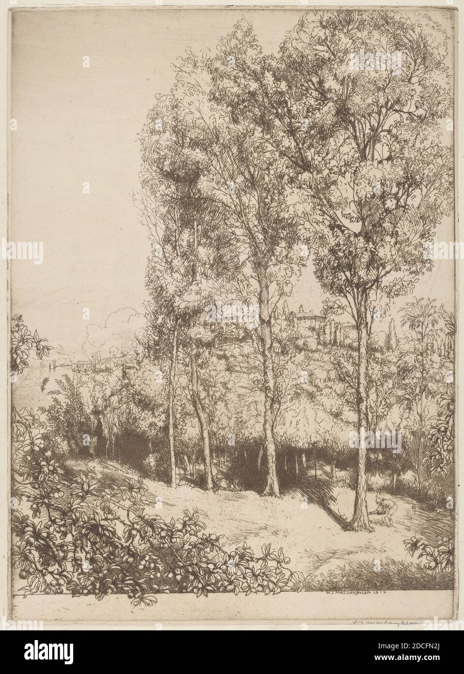 Donald Shaw MacLaughlan, (artist), Canadian, 1876 - 1938, Sunlight and ...
