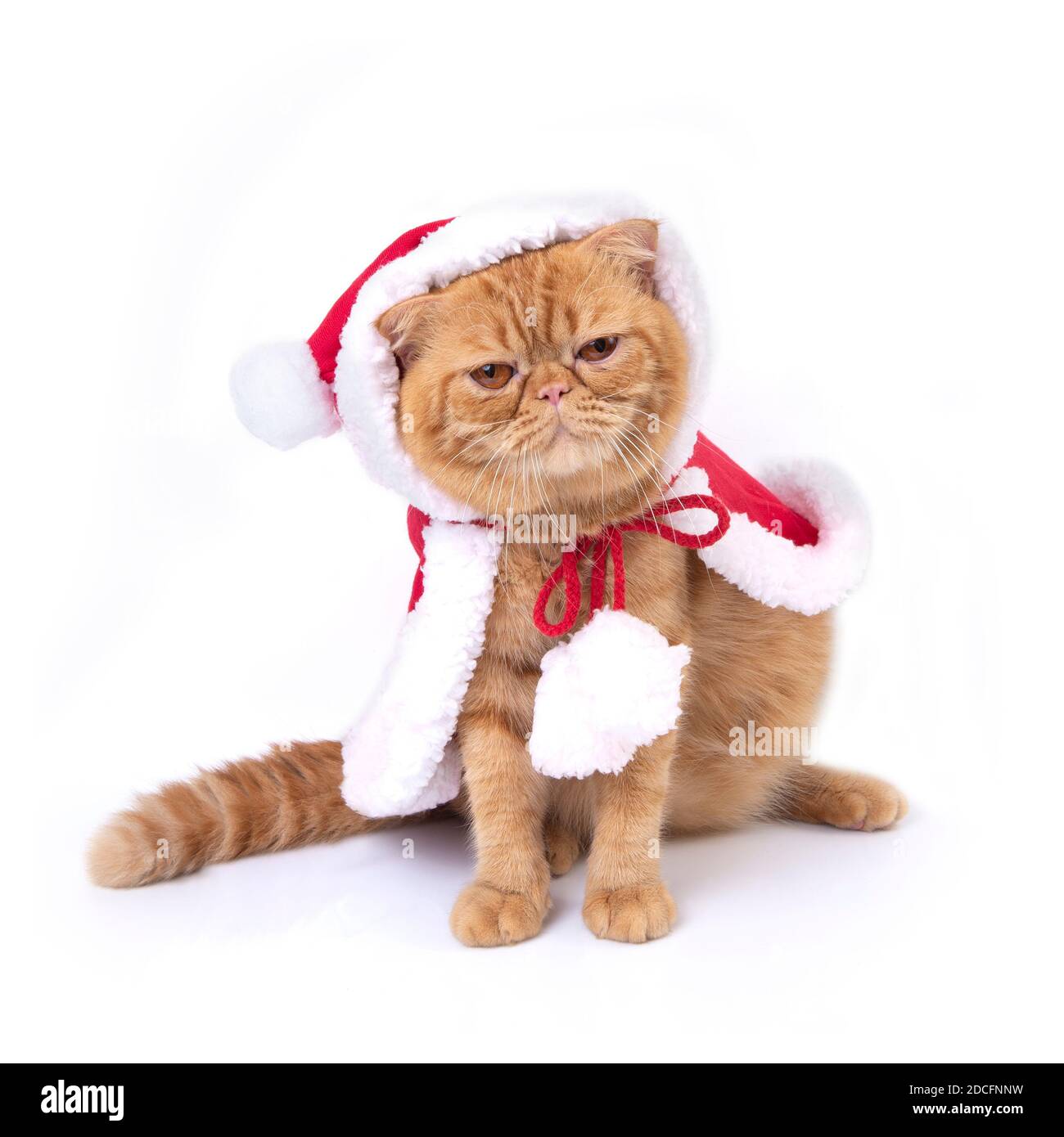 Scottish santa claus Cut Out Stock Images & Pictures - Alamy