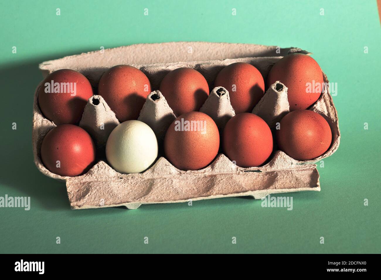 Storing eggs hi-res stock photography and images - Alamy