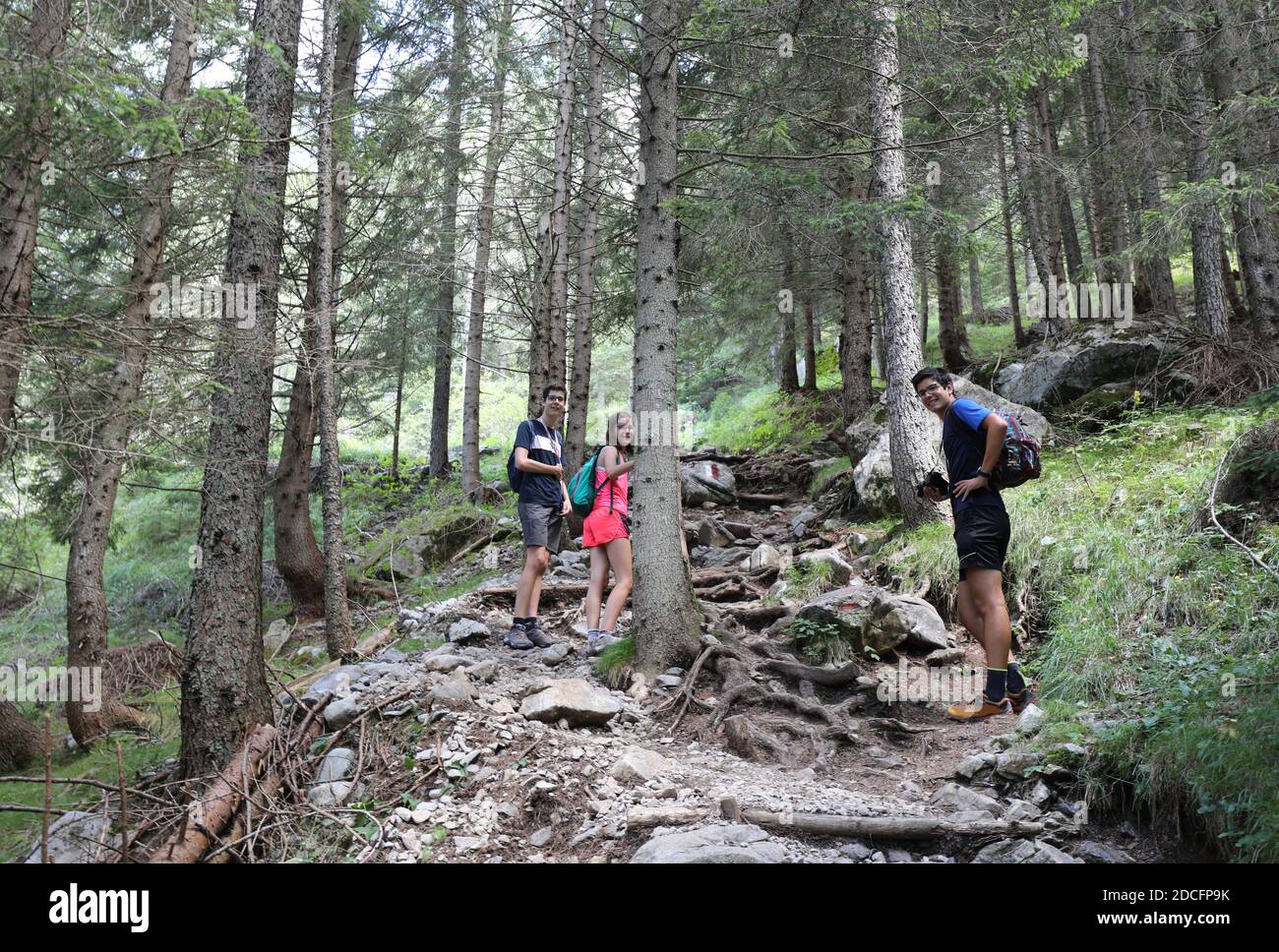 two brothers and a sister walking in the path in the middle of the ...