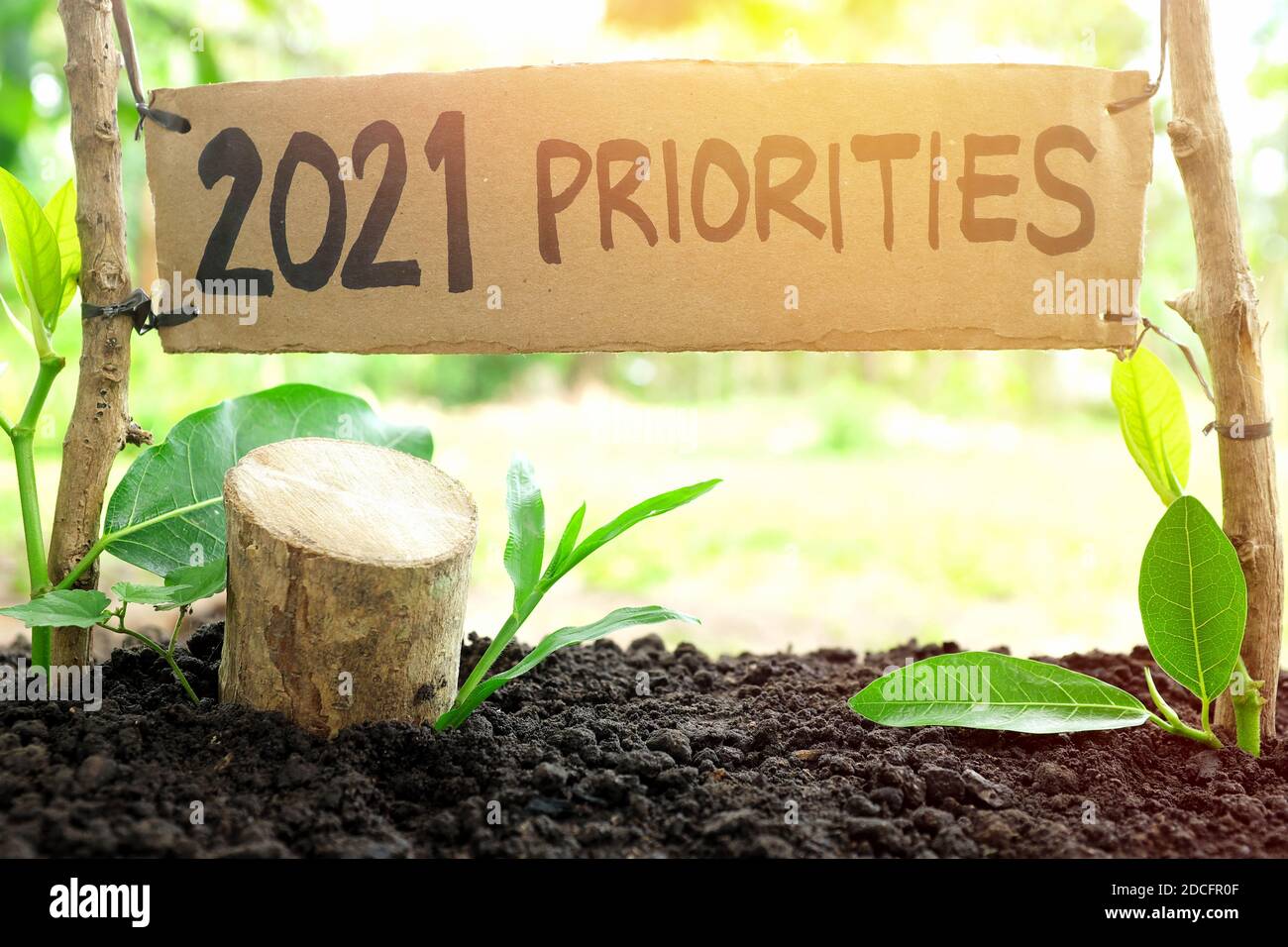 2021 priorities banner in natural background. New Year 2021 setting ...