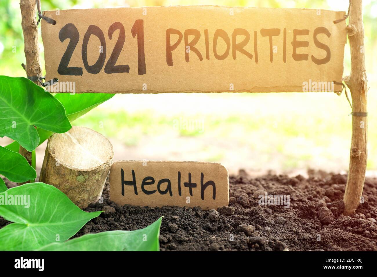 2021 priorities banner in natural background. New Year 2021 setting ...