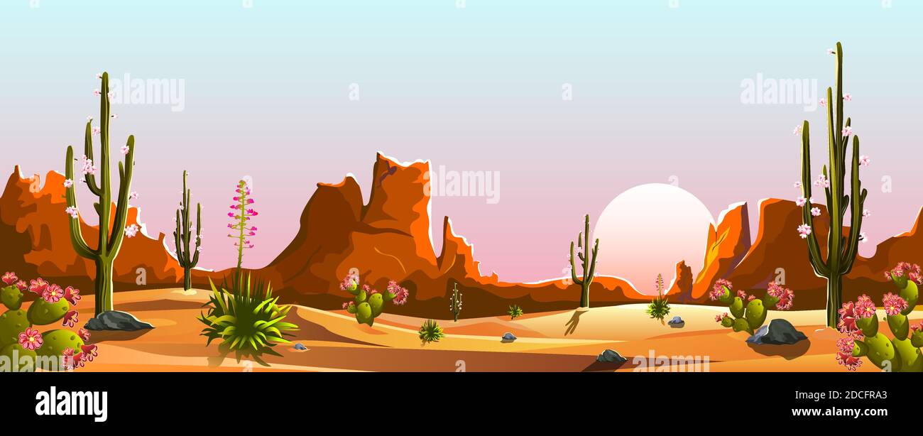 Mexico desert landscape cactus hi-res stock photography and images - Alamy