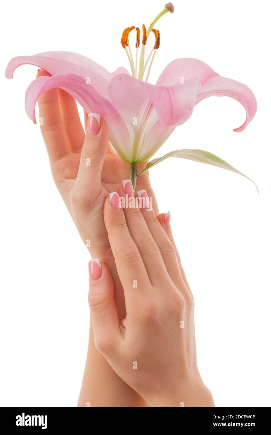Female hands with French manicure and lily flowers isolated on white ...