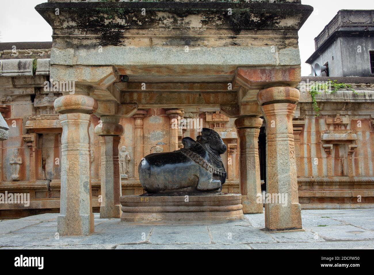 View of Nandhi statue in an ancient temple, Avani, Karnataka, India ...