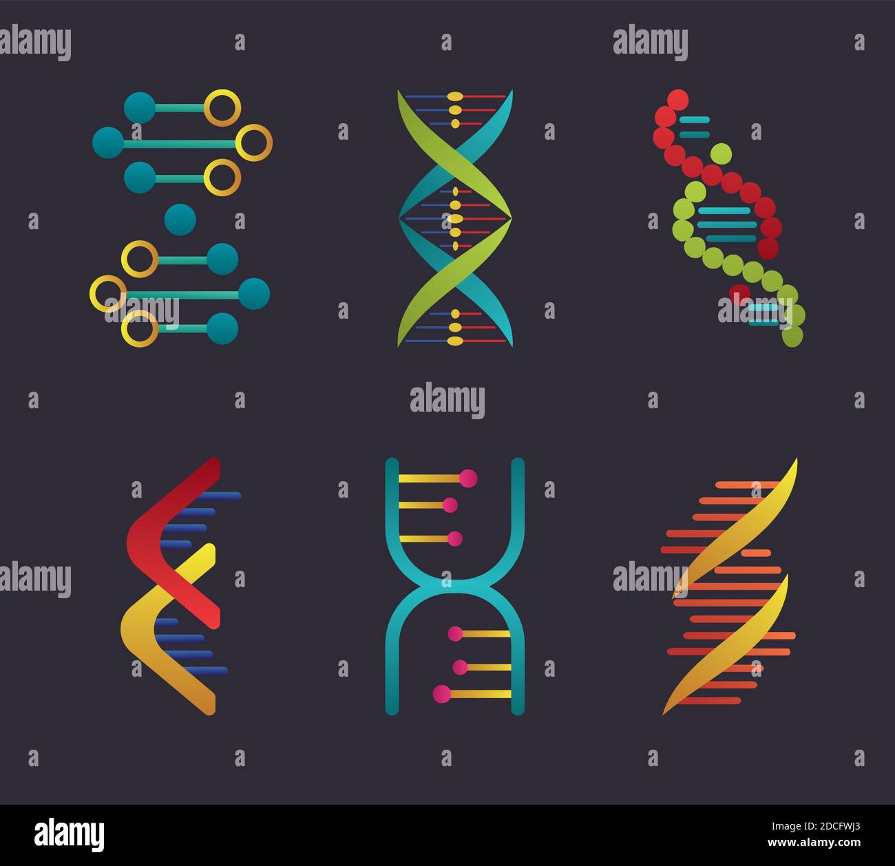 Chromosomes dna molecules Stock Vector Images - Alamy