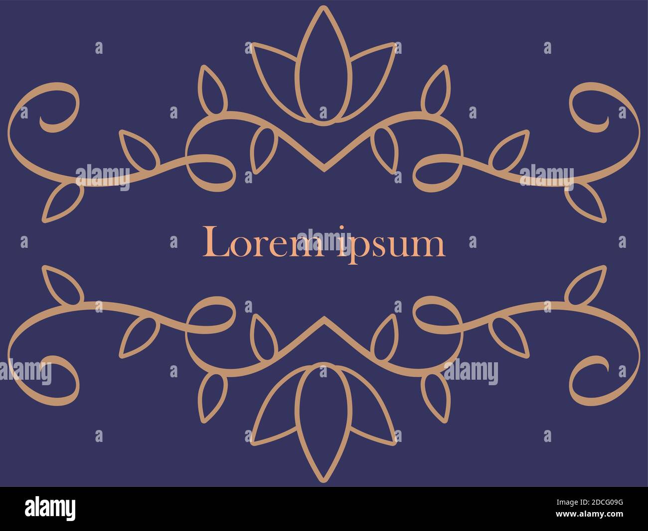 elegants dividers around of lettering frame vector illustration design ...