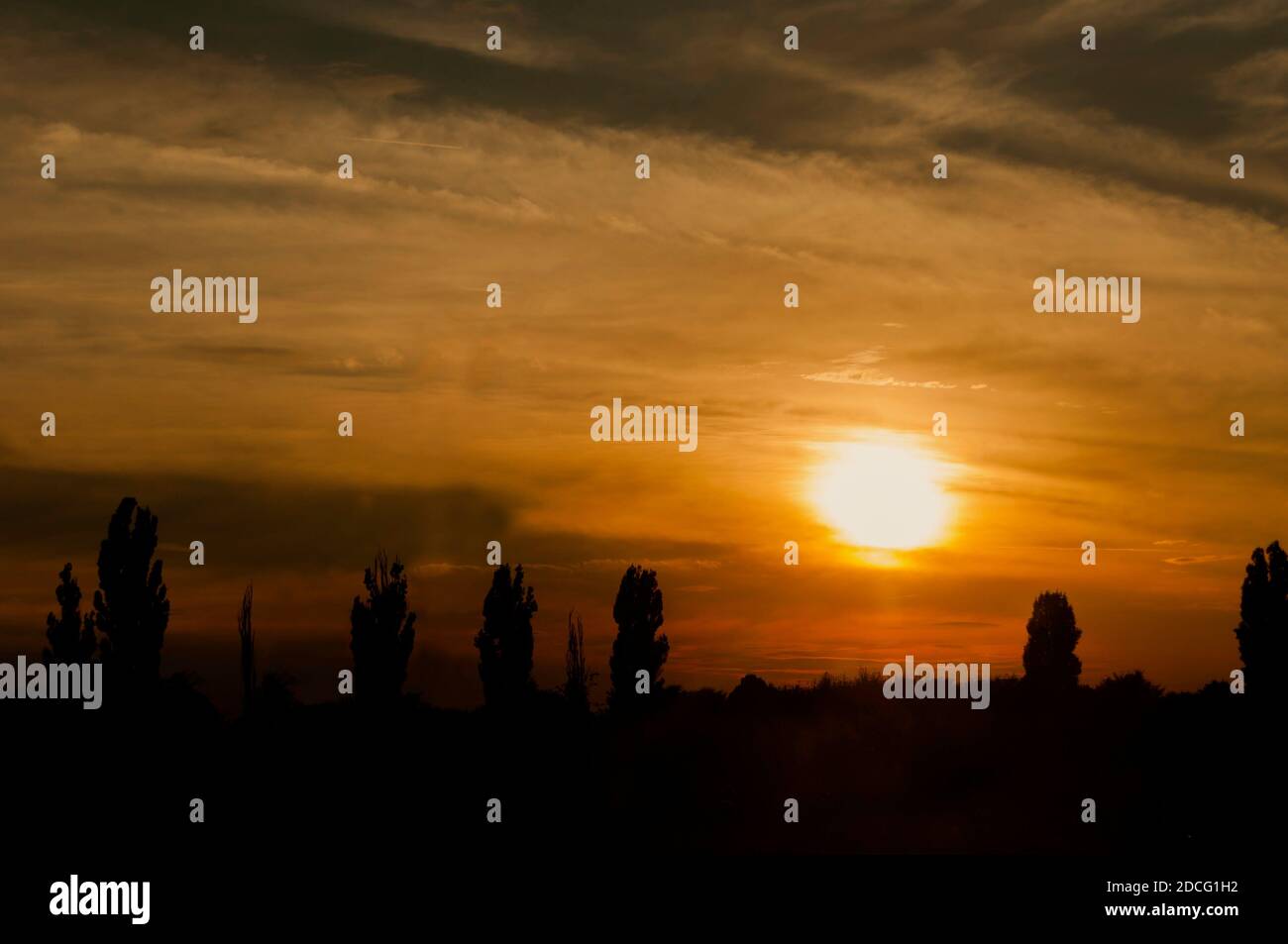 Warm tint hi-res stock photography and images - Alamy