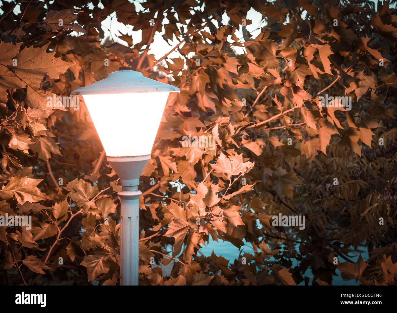 Isolated yellow lamp post lantern hi-res stock photography and images ...