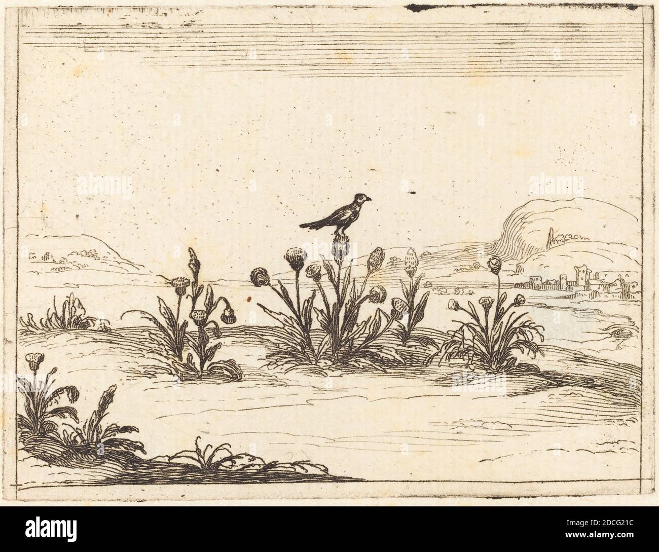 Jacques Callot, (artist), French, 1592 - 1635, Bird Perched in a ...
