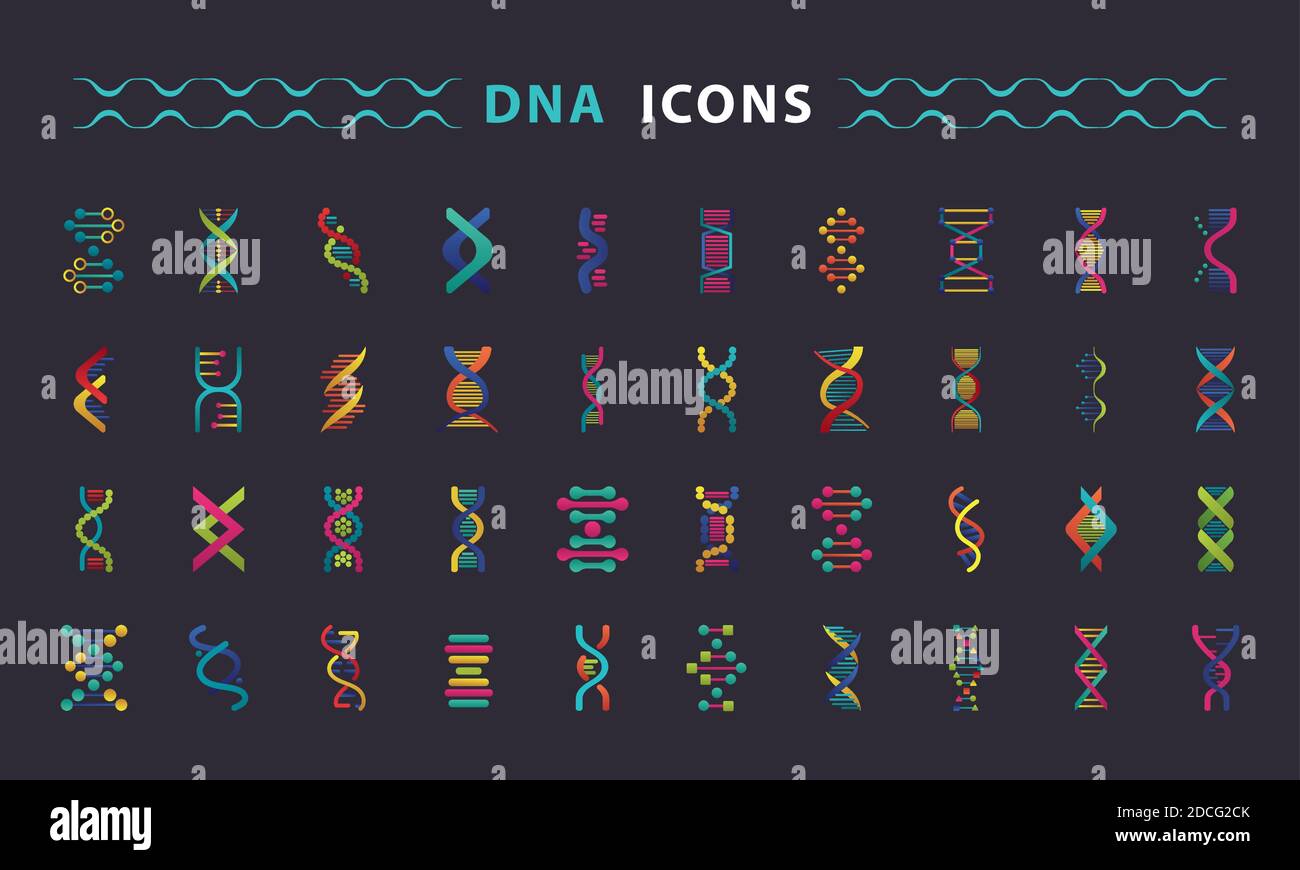 Fourty Dna Molecules Structures Set Icons Vector Illustration Design