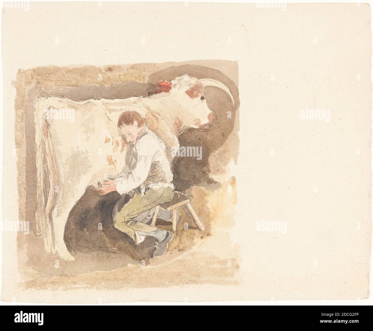 Watercolor and graphite on heavy wove paper hi-res stock photography ...