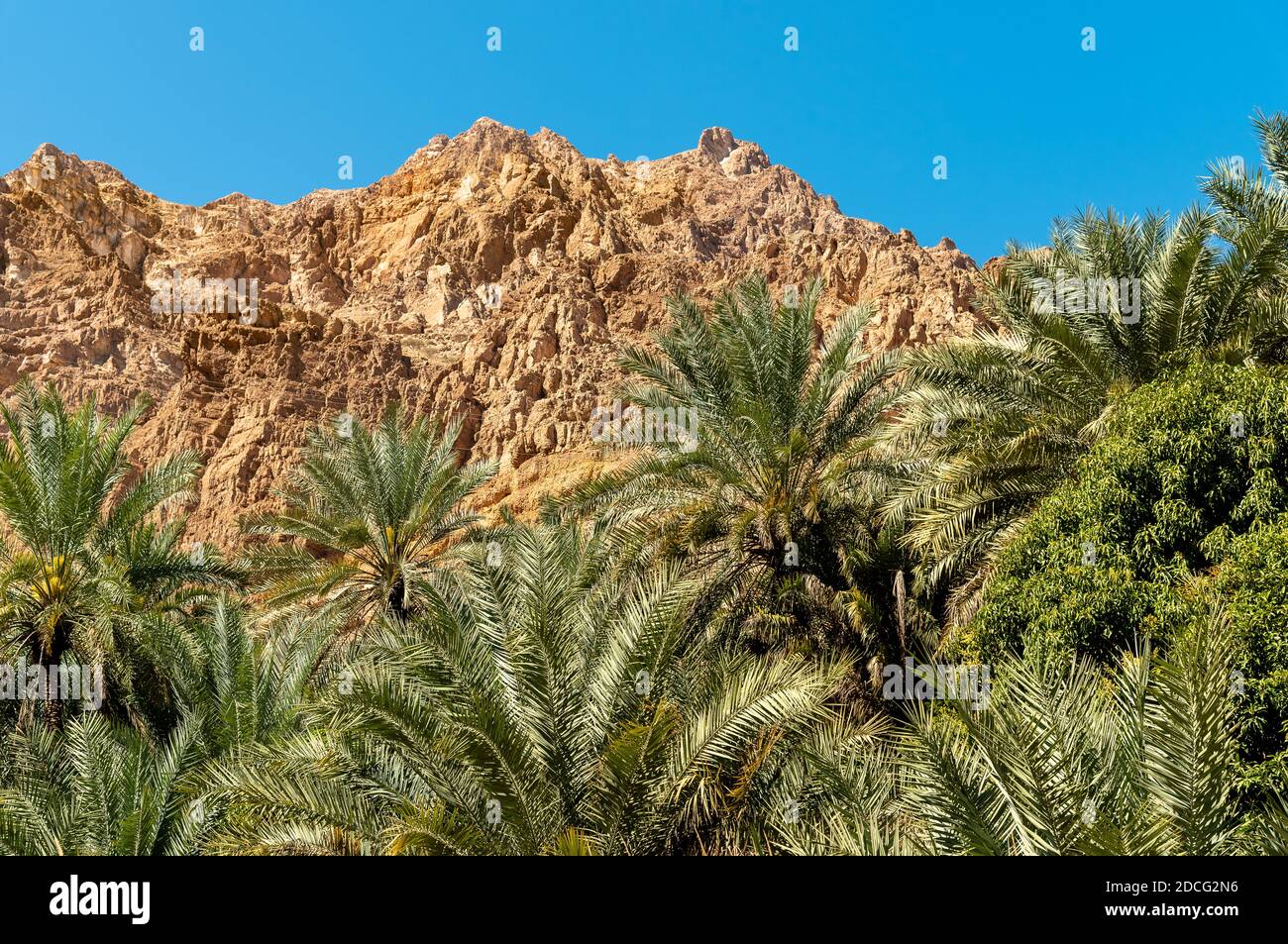 Landscape of Wadi Tiwi oasis with mountains and palm trees in Sultanate ...