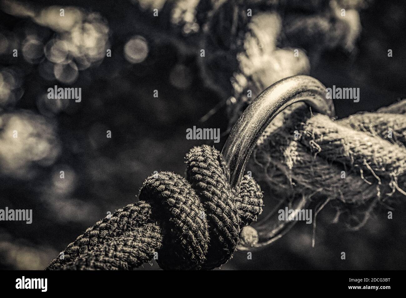climbing garden rope knot steel ring Stock Photo - Alamy