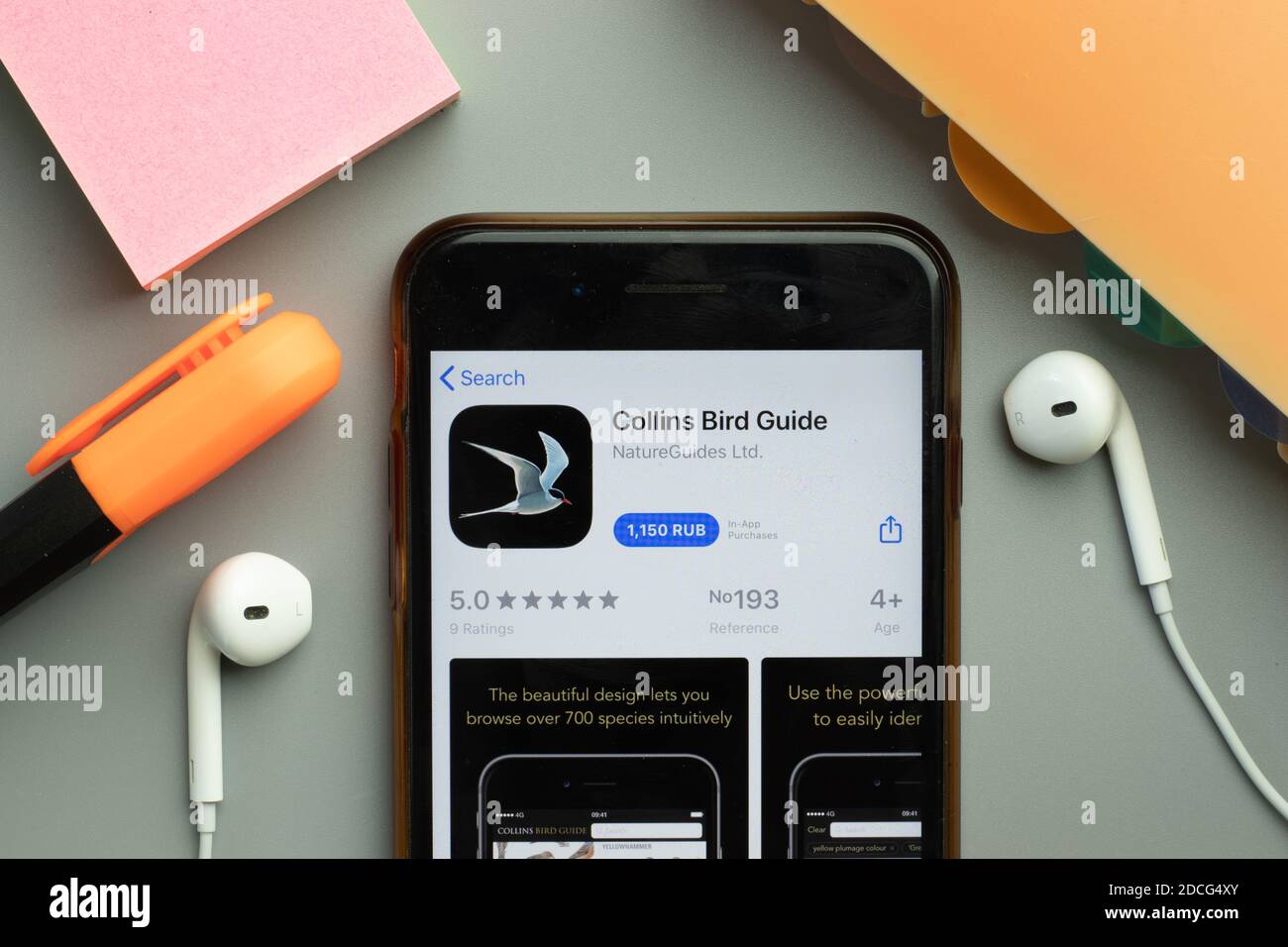 Collins bird guide hi-res stock photography and images - Alamy