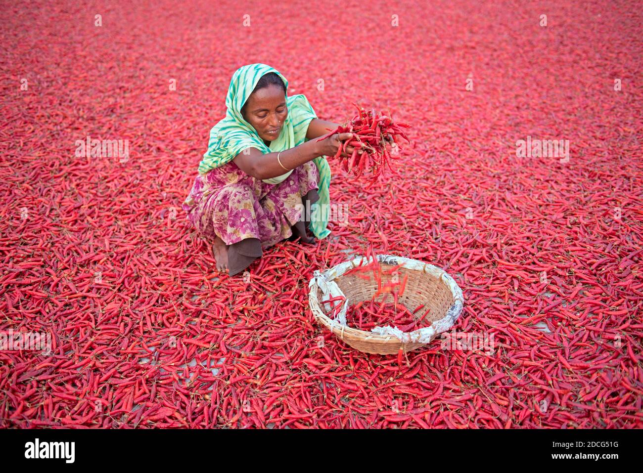 Crimson carpet hi-res stock photography and images - Alamy