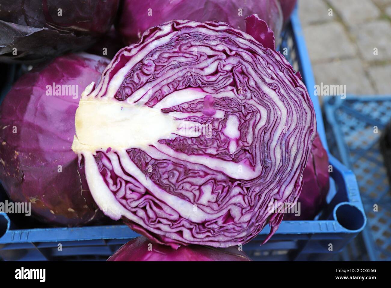 Purple sliced cabbage texture. Red kale background Stock Photo - Alamy