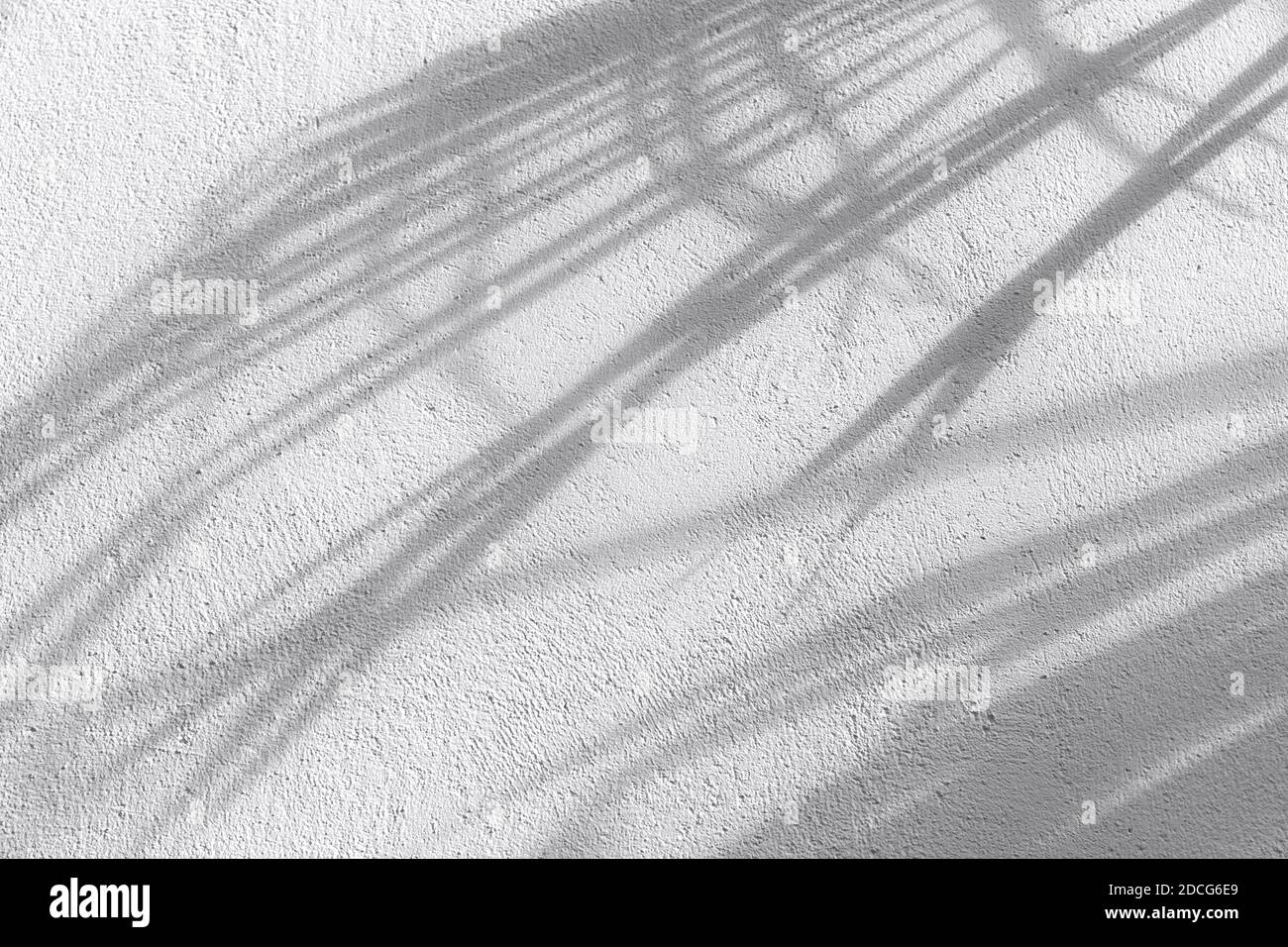 Tropical shadow on the wall background. Minimal summer travel concept ...