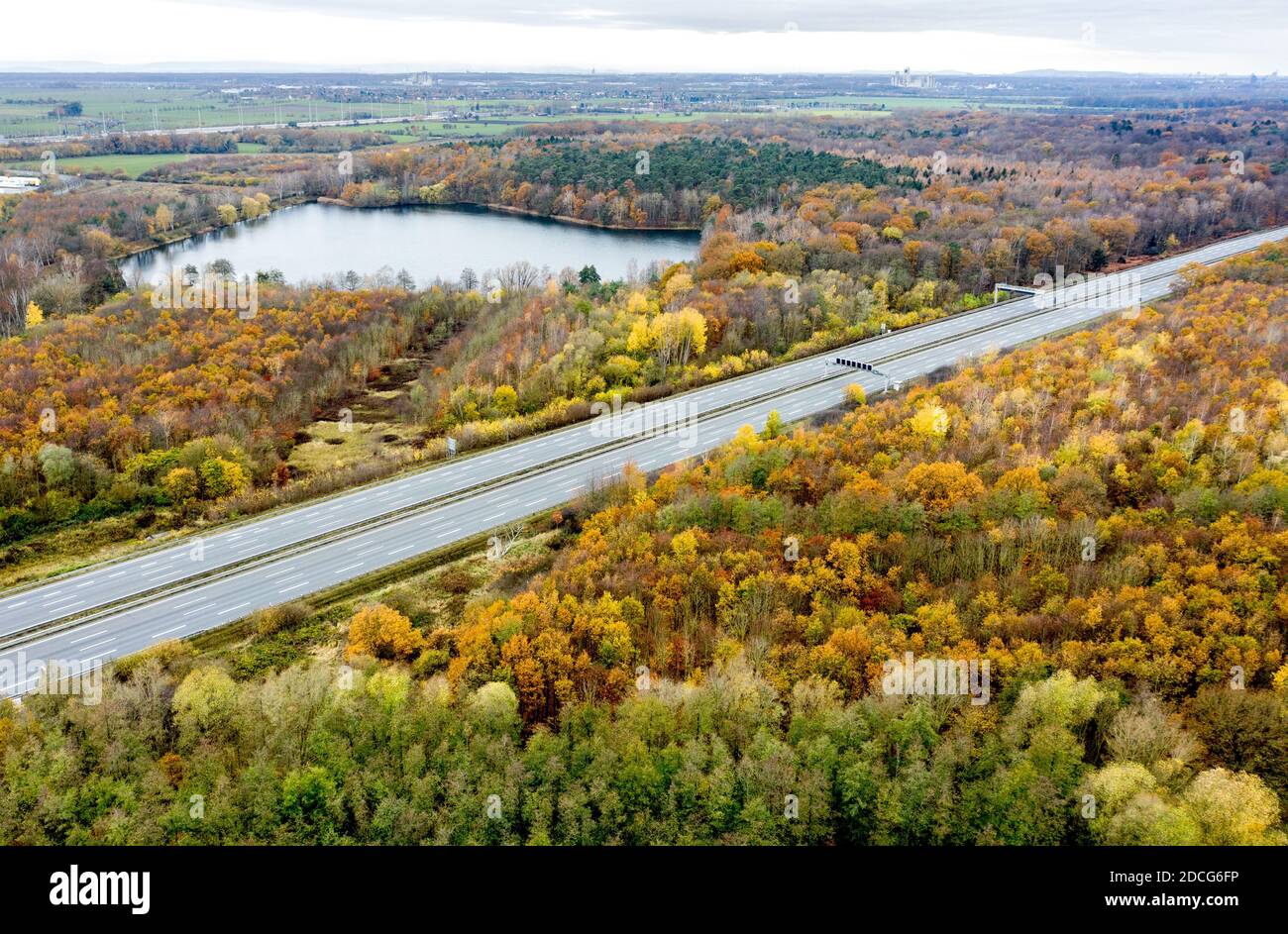 Lehrte, Germany. 21st Nov, 2020. Autumnally discoloured trees stand at ...