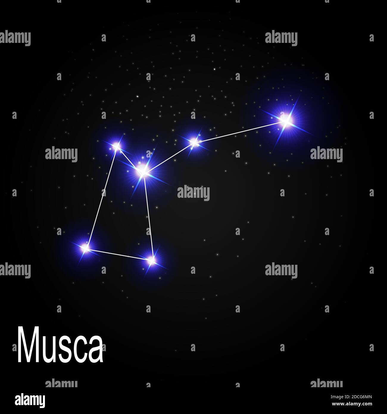 Musca Constellation with Beautiful Bright Stars on the Background of ...