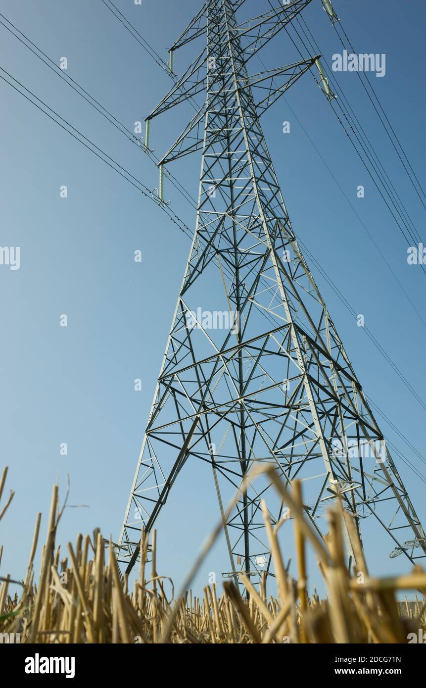 Electricity pylons in a field in Kent England UK Stock Photo - Alamy