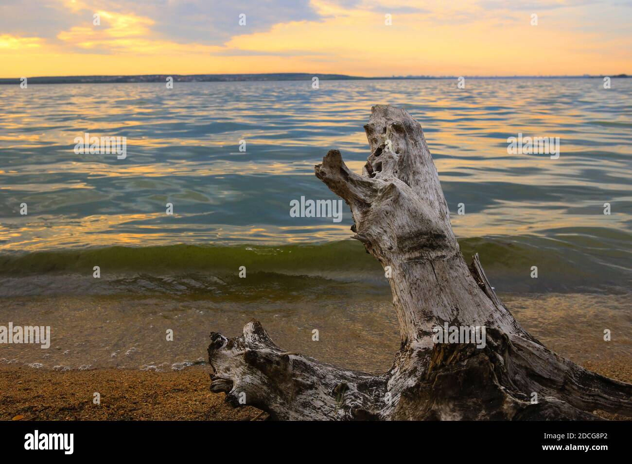 Snag Over Water High Resolution Stock Photography and Images - Alamy