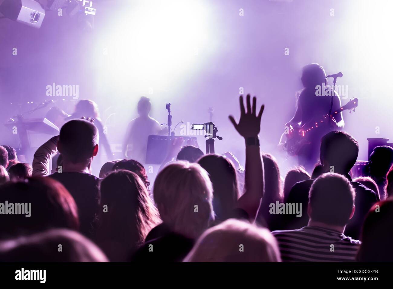 dancing audience at concert at nightclub Stock Photo - Alamy